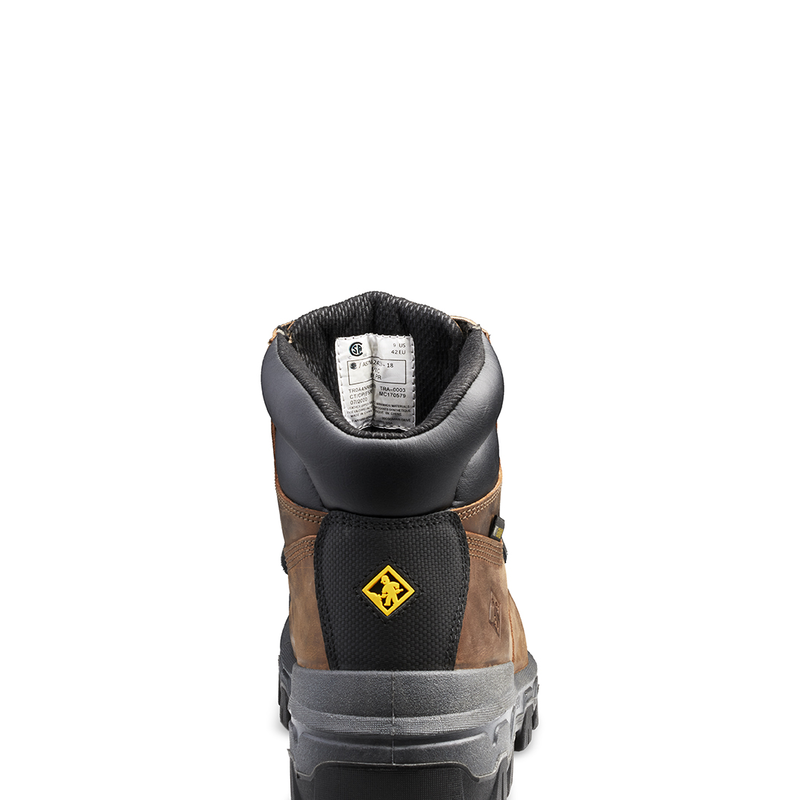 Men's Terra Sentry 2020 6" Nano Composite Toe Safety Work Boot with ...